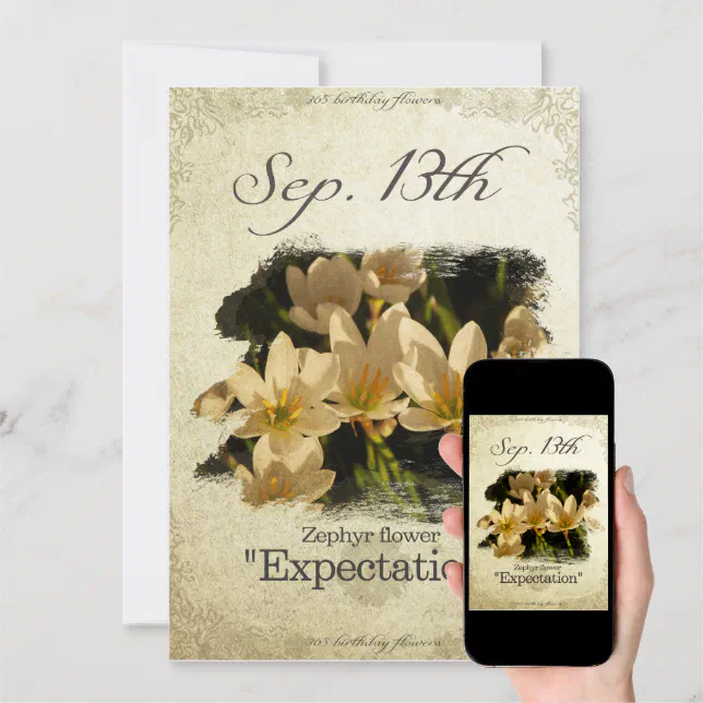 Birthday flowers on September 13th "Zephyr flower" Card | Zazzle