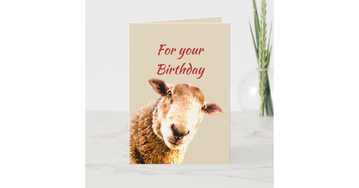 Birthday Fun Funny Sheep Animal Humor Card | Zazzle