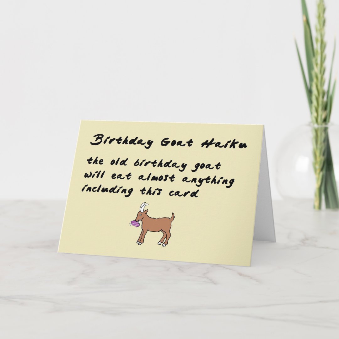 Birthday Goat Haiku - a funny happy birthday poem Card | Zazzle