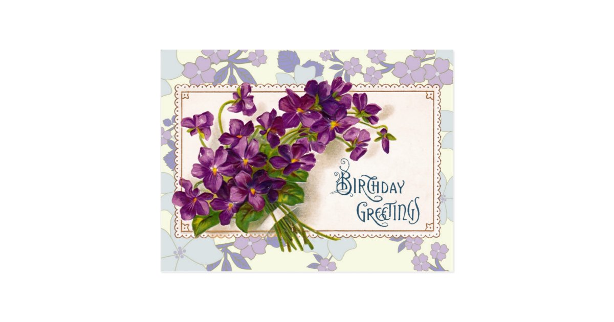 Birthday Greetings with Violets Postcard | Zazzle.com