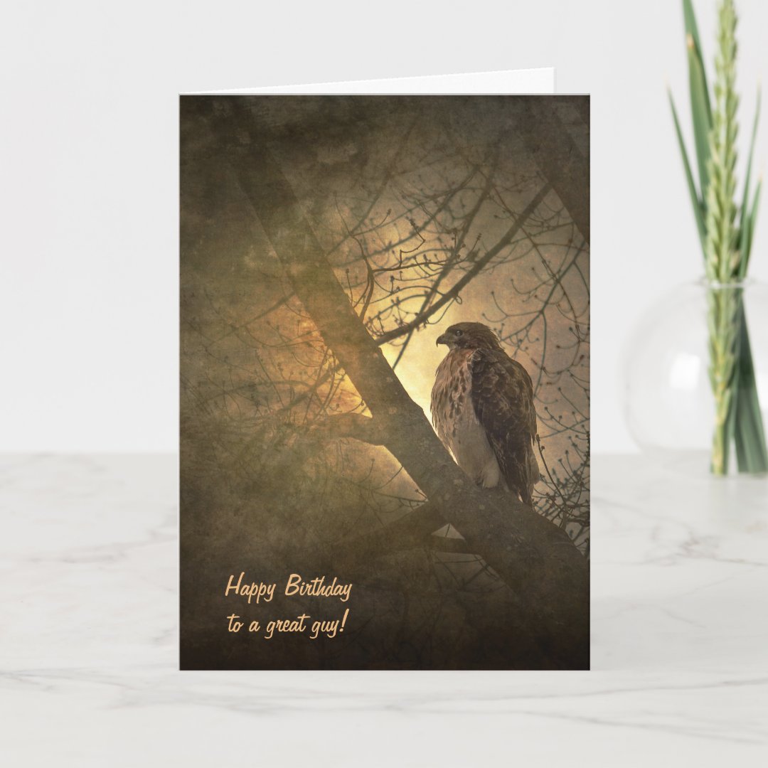 birthday-hawk in tree card | Zazzle