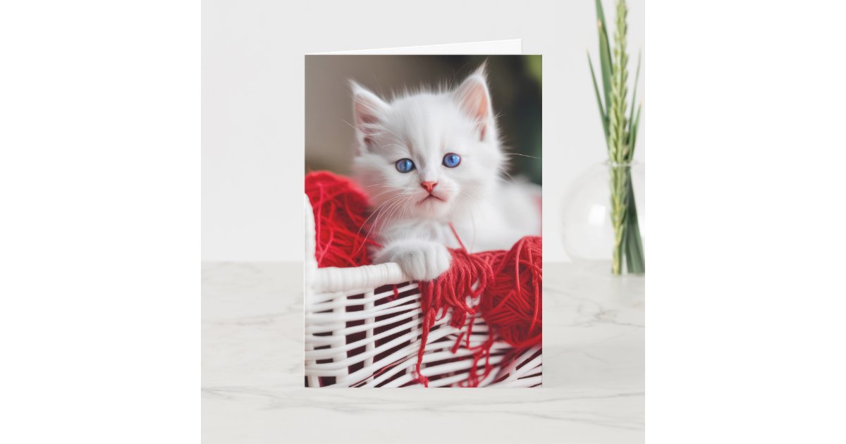 Birthday Kitty With Tangled Red Yarn Card | Zazzle