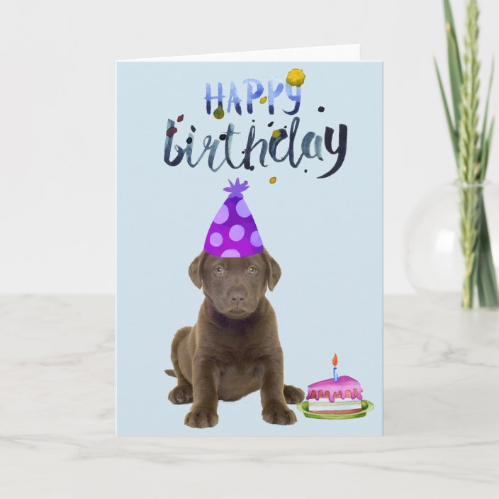Birthday Labrador Retriever Lab Chocolate Puppy Card | Zazzle.com