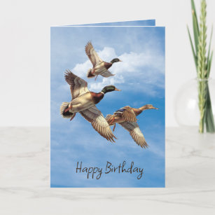 Funny Duck Hunting E Cards
