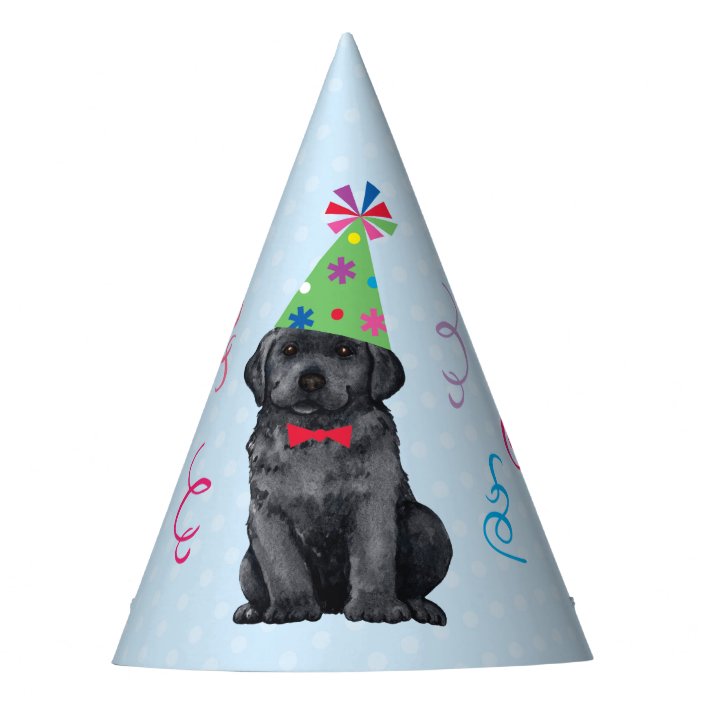 Birthday Party Black Lab Party Hat | Zazzle.com