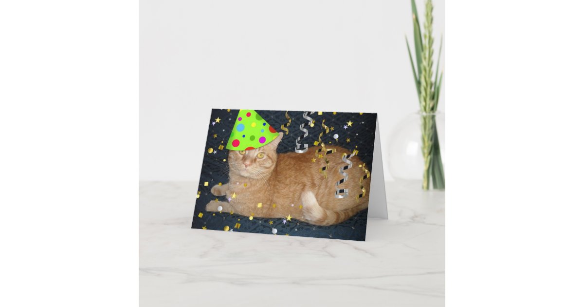 Birthday Party Orange Tabby Cat Card | Zazzle.com