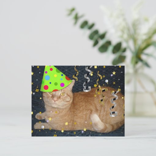 Birthday Party Orange Tabby Cat Postcard | Zazzle