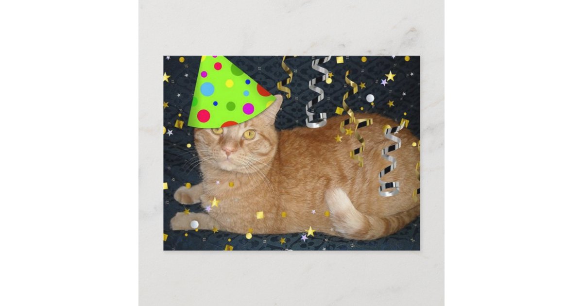 Birthday Party Orange Tabby Cat Postcard | Zazzle