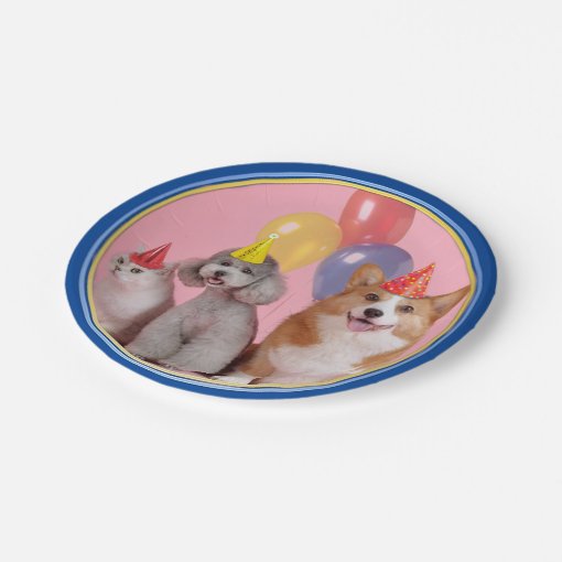 Birthday poodle and Corgi paper plates | Zazzle