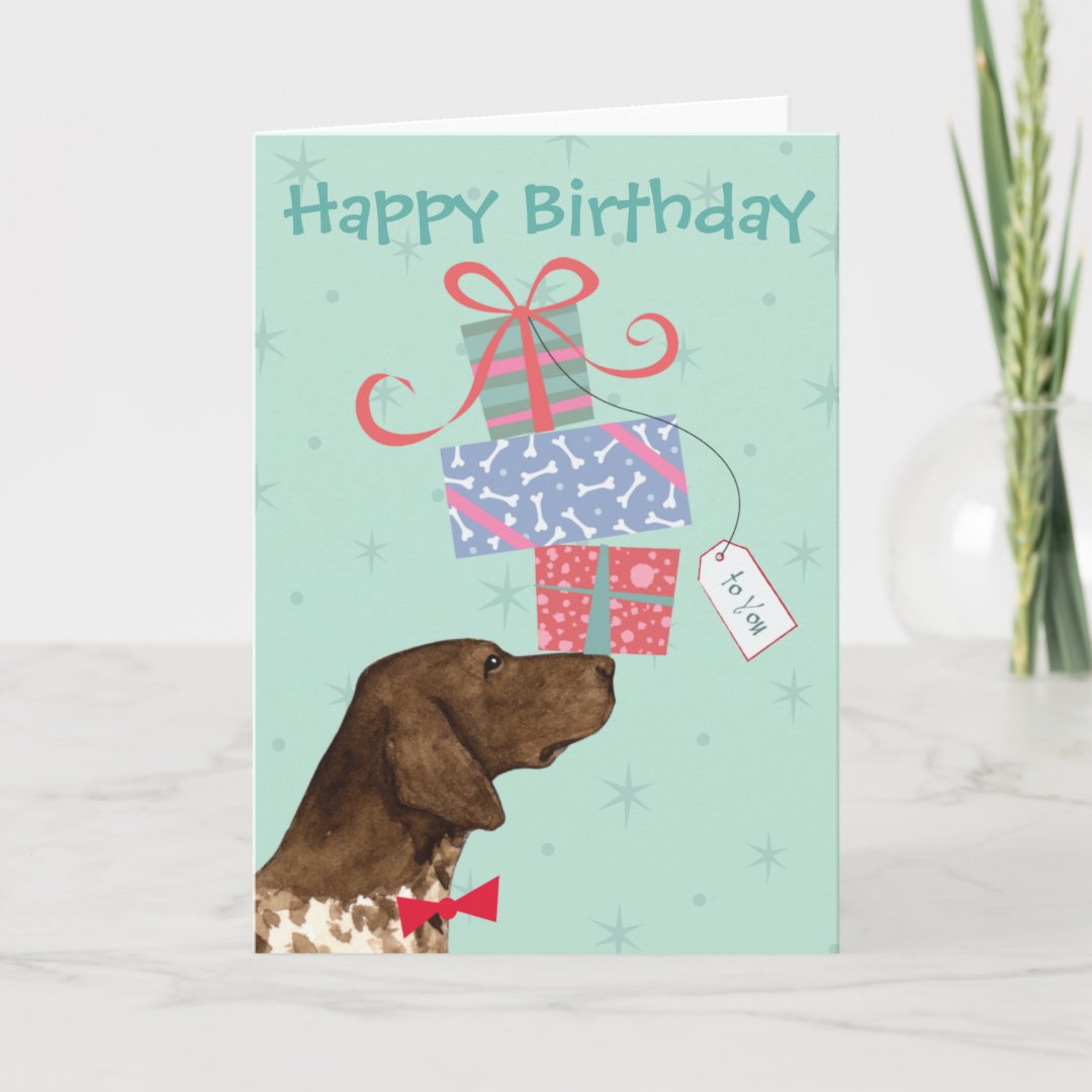 Birthday Presents German Shorthaired Pointer Card | Zazzle