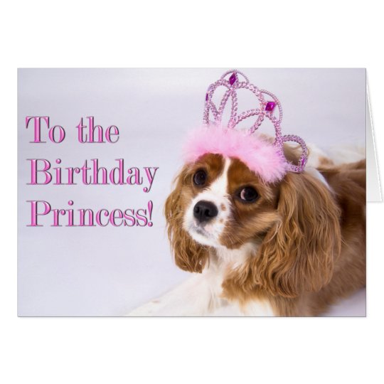 Birthday Princess Cavalier King Charles Card | Zazzle.com