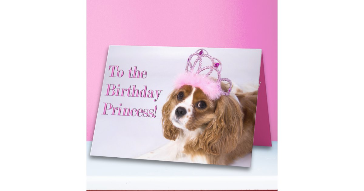Birthday Princess Cavalier King Charles Card | Zazzle
