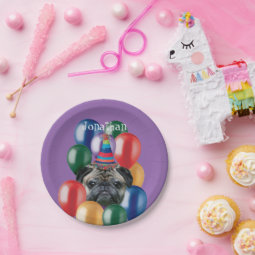 Birthday Pug dog paper plate | Zazzle