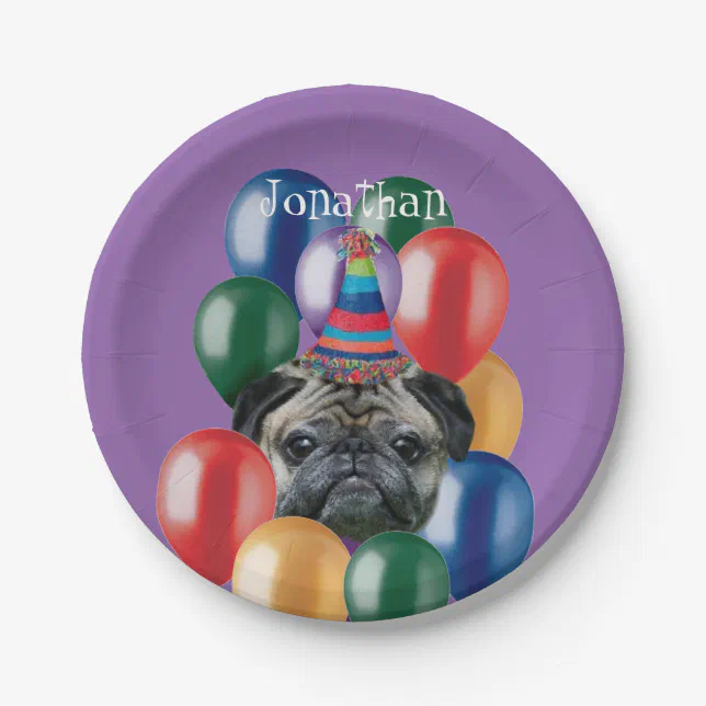 Birthday Pug dog paper plate | Zazzle