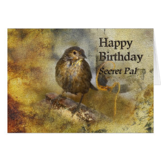 Secret Pal Cards - Greeting & Photo Cards | Zazzle