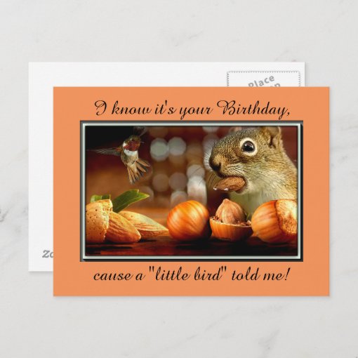 Birthday Squirrel Postcard | Zazzle