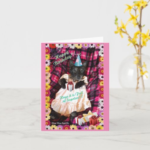 Birthday Surprise Card | Zazzle