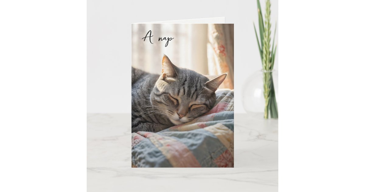 Birthday Tabby Cat Nap Card | Zazzle