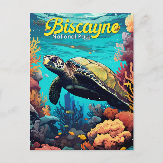 Biscayne National Park Turtle Illustration Retro Postcard | Zazzle