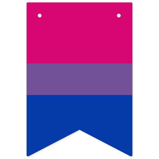 Bisexuality pride flag banner | Zazzle