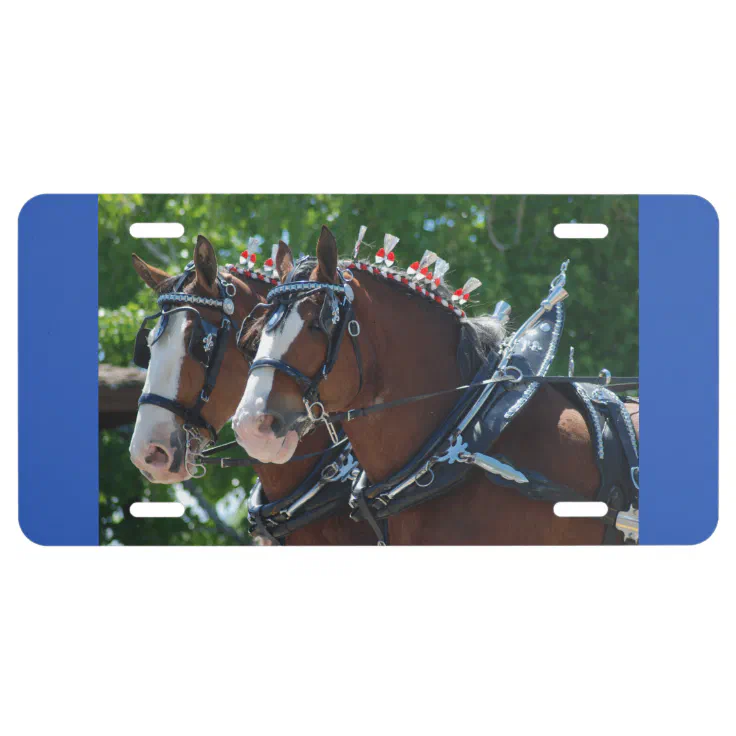 Bishop Mule Days Parade of 2018 License Plate | Zazzle