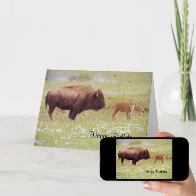 Bison and Calf in Yellowstone Birthday Card | Zazzle