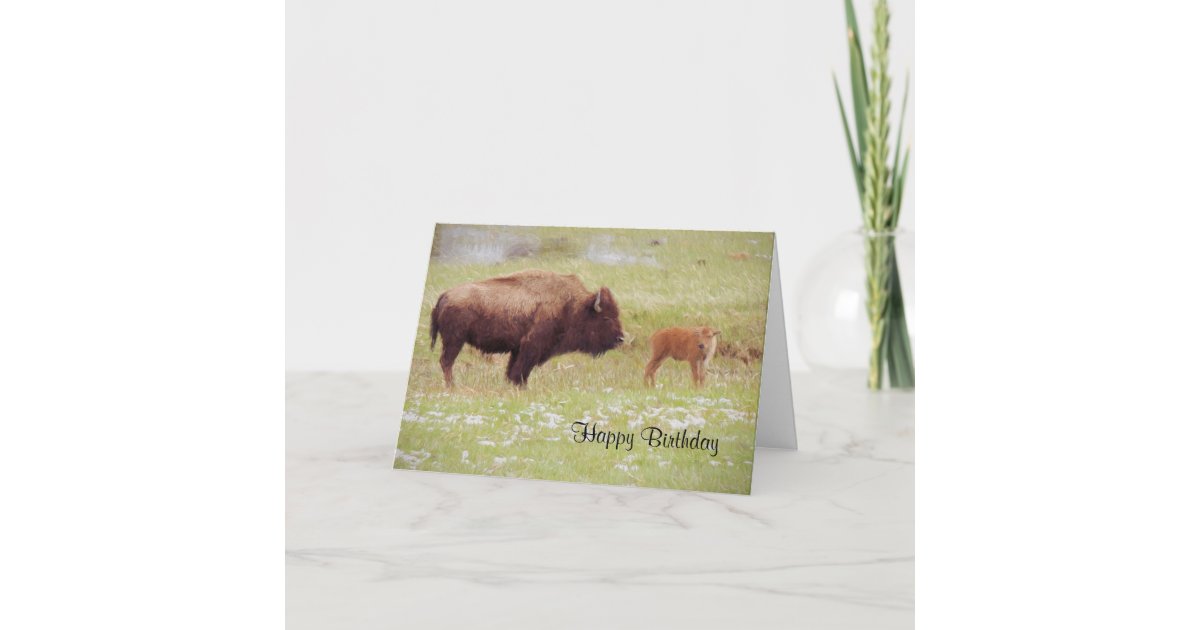 Bison and Calf in Yellowstone Birthday Card | Zazzle