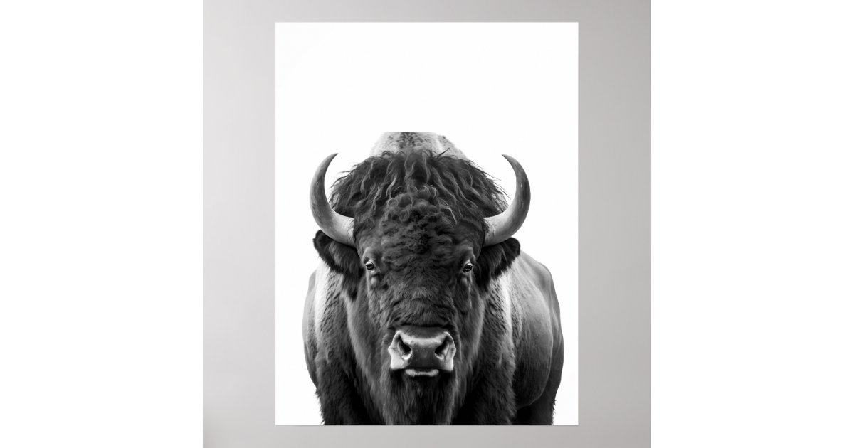 Bison Buffalo Modern Portrait black white Poster | Zazzle