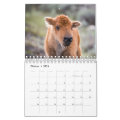 bison calendar | Zazzle