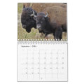 bison calendar | Zazzle