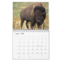 bison calendar | Zazzle