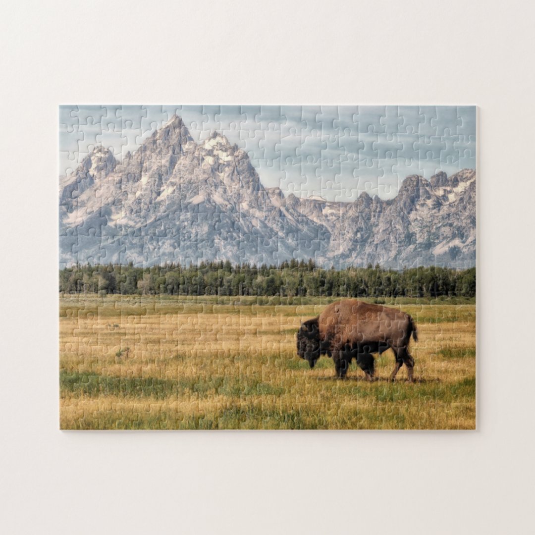 Bison in the Tetons Jigsaw Puzzle | Zazzle