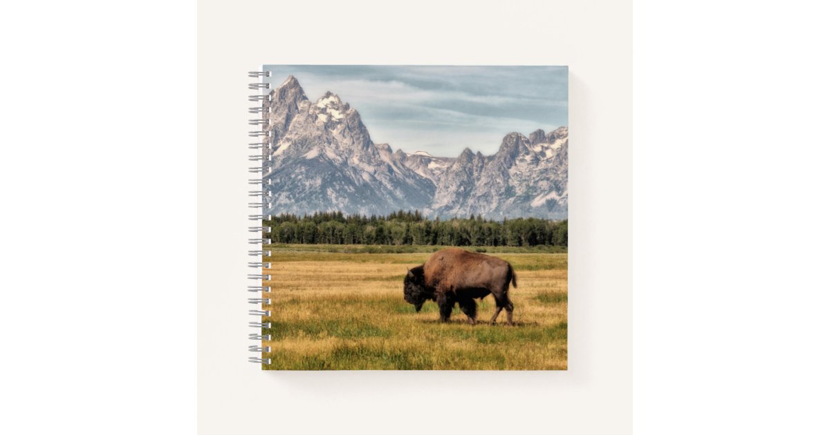 Bison in the Tetons Notebook | Zazzle