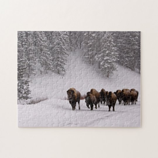 Bison in Winter Jigsaw Puzzle | Zazzle.com