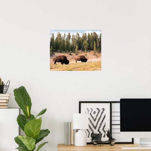 Bison in Yellowstone National Park , Wyoming Poster | Zazzle