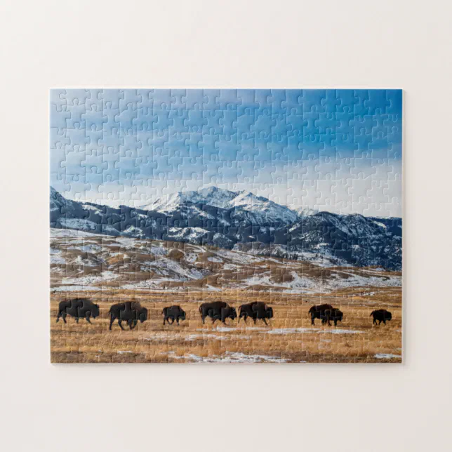 Bison Migration Jigsaw Puzzle | Zazzle