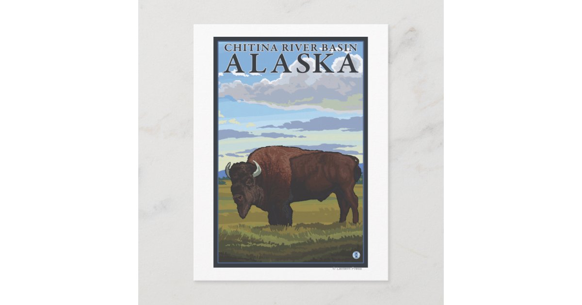 Bison Scene - Chitina River Basin, Alaska Postcard | Zazzle