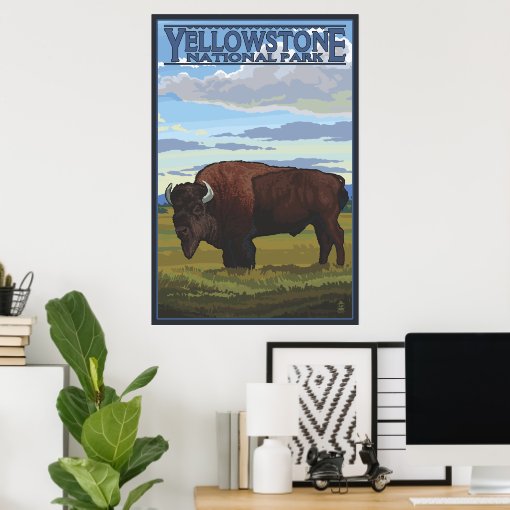 Bison Scene - Yellowstone National Park Poster | Zazzle