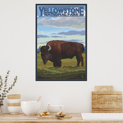 Bison Scene - Yellowstone National Park Poster | Zazzle