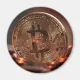 Bitcoin Magnet | Zazzle
