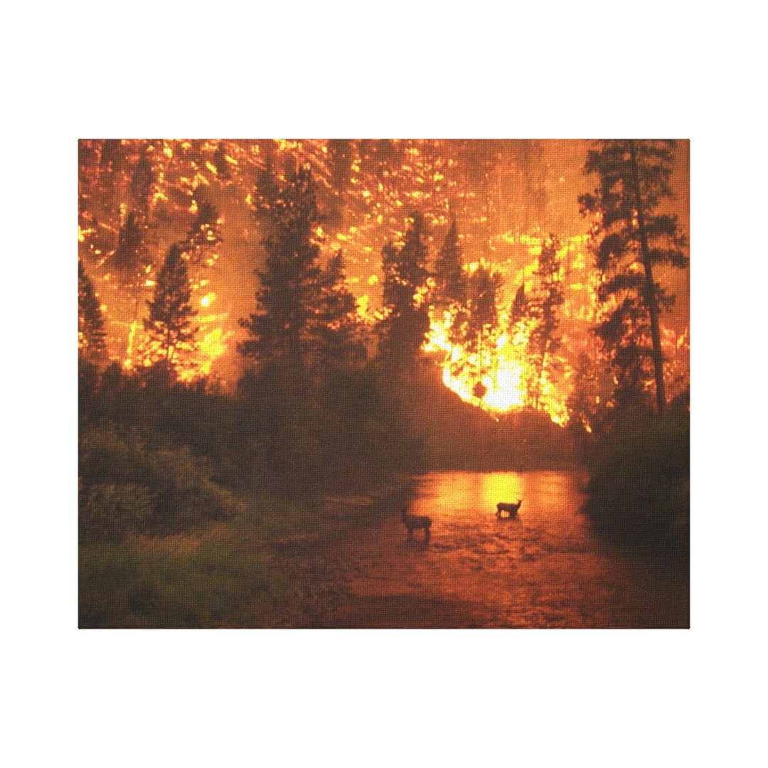 Bitterroot National Park Forest Fire Canvas Print | Zazzle