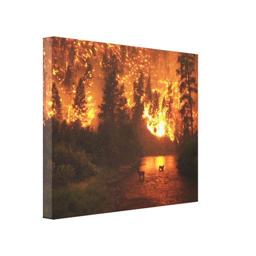 Bitterroot National Park Forest Fire Canvas Print | Zazzle