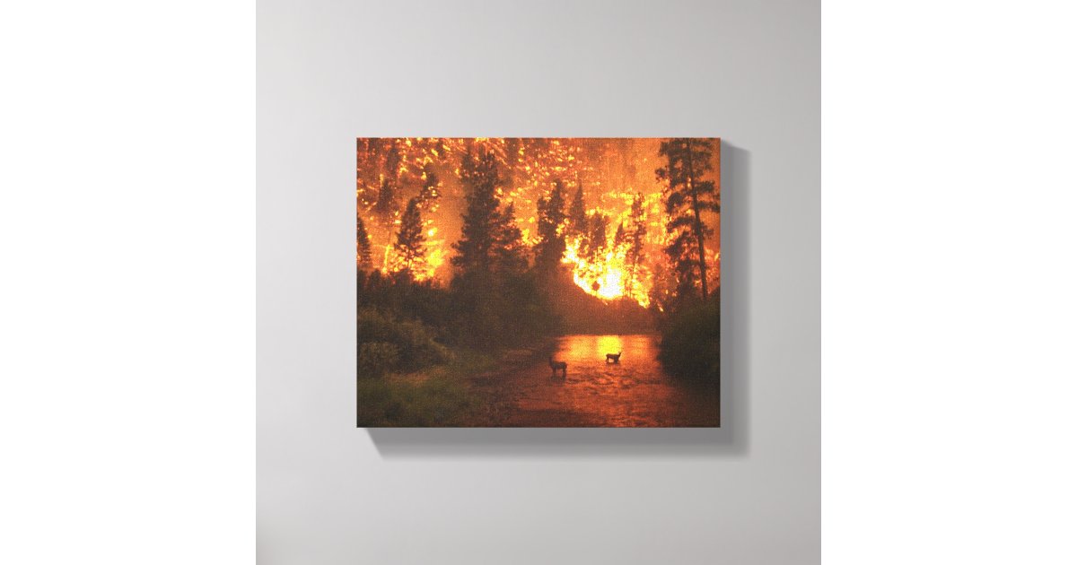 Bitterroot National Park Forest Fire Canvas Print | Zazzle