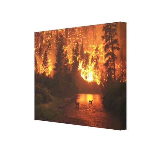 Bitterroot National Park Forest Fire Canvas Print | Zazzle