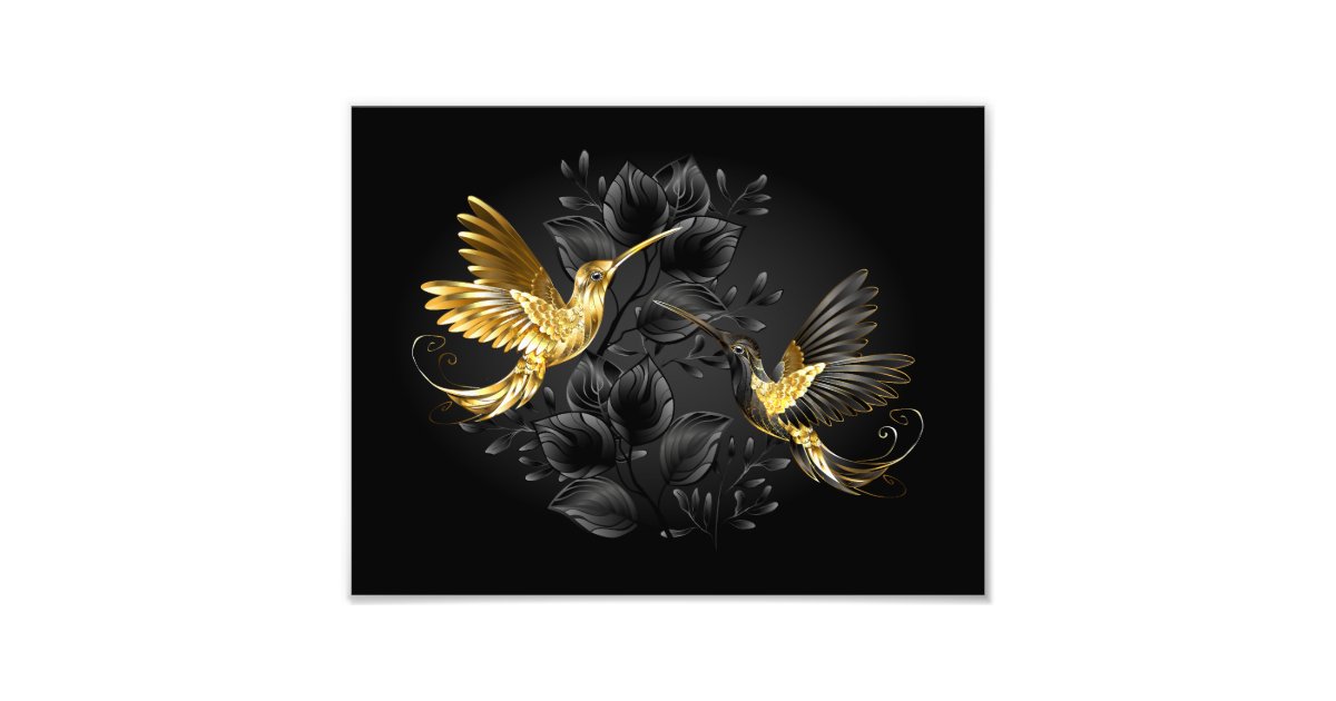 Black and Gold Hummingbird Photo Print | Zazzle