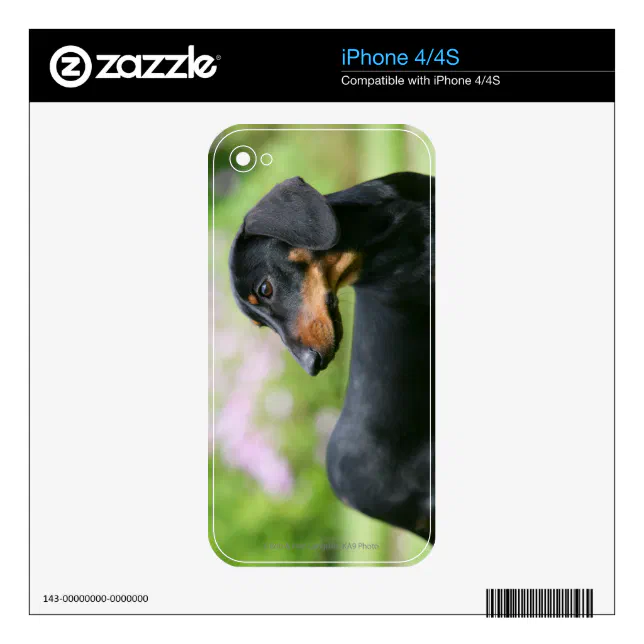 Black and Tan Miniture Dachshund 2 iPhone 4S Skin | Zazzle