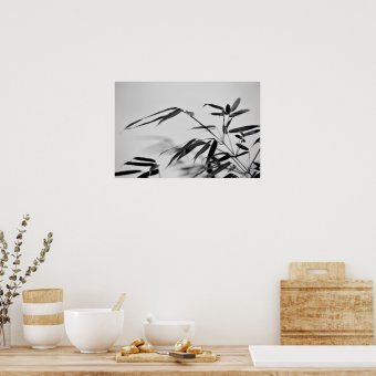 Black and White Bamboo Fargesia dracocephala 'Rufa Poster | Zazzle