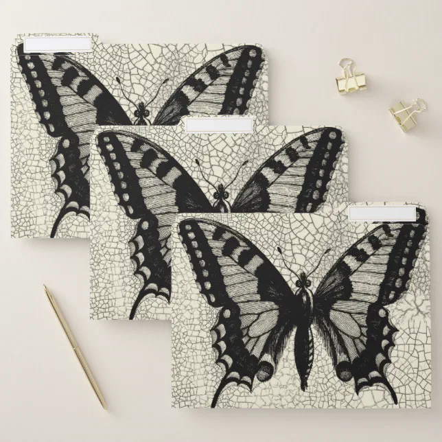Black and White Butterfly on Cracked Background File Folder | Zazzle