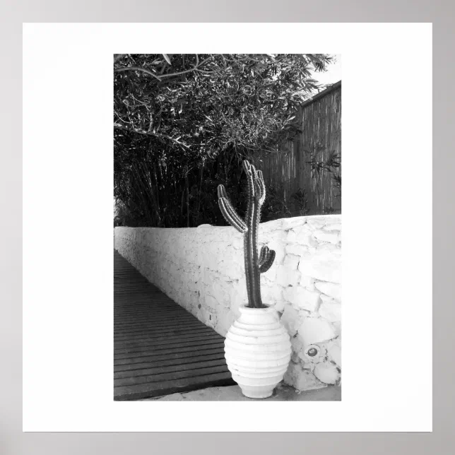 Black and white cactus poster art summer photo | Zazzle