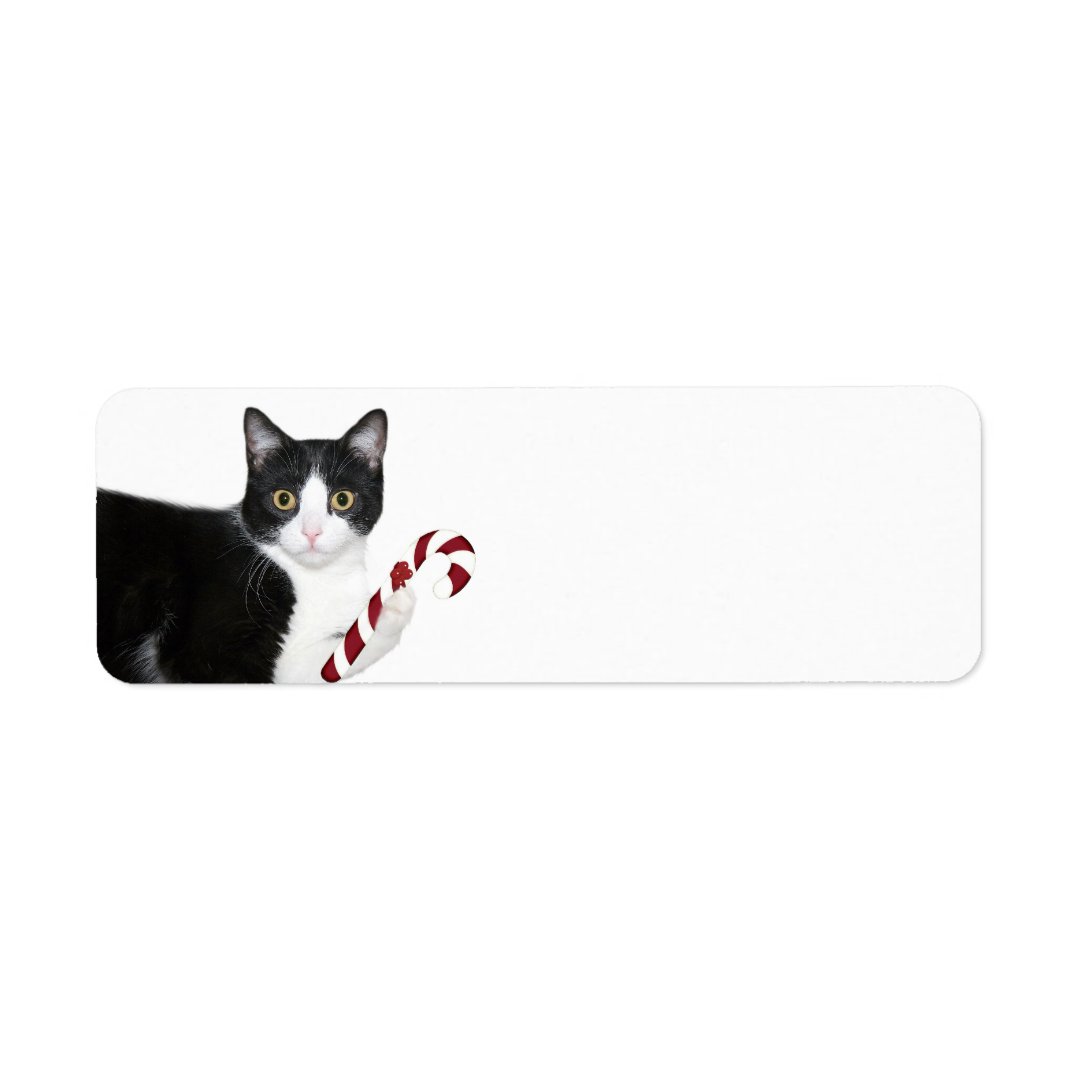 Black and white cat Christmas Label | Zazzle